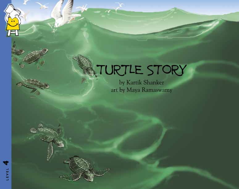 Turtle Story